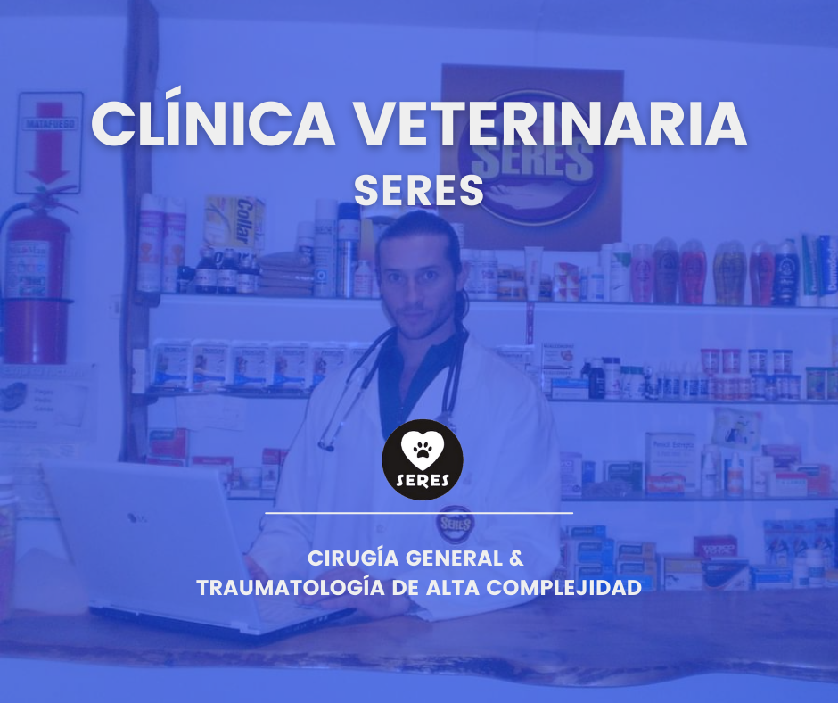 Profundizacion de surco intercondileo - Clínica Veterinaria en Córdoba ...